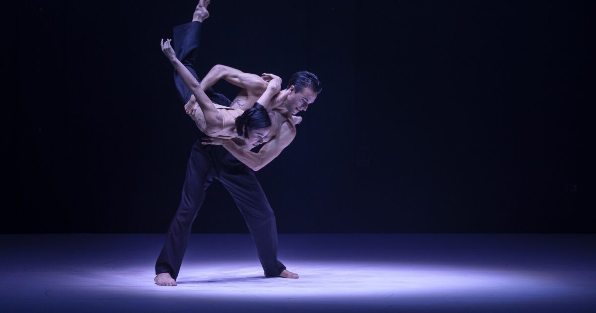 Contemporary dance at its highest calibre hits… - Geelong Arts Centre